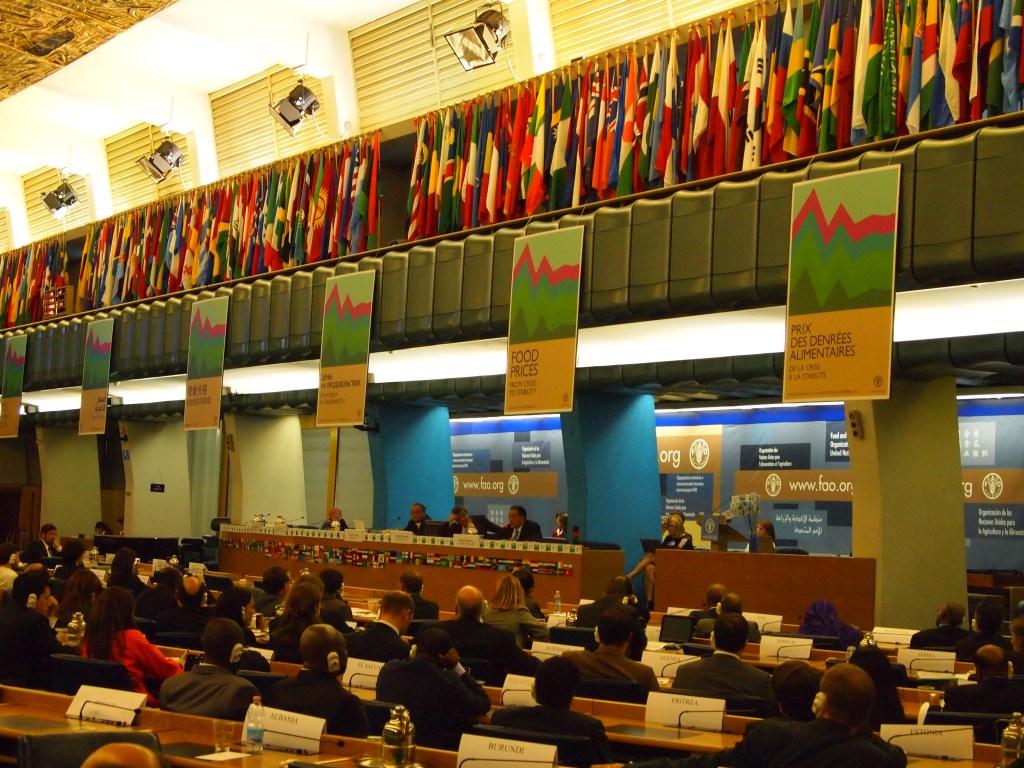 5 things you need to know about the CFS – Food Governance